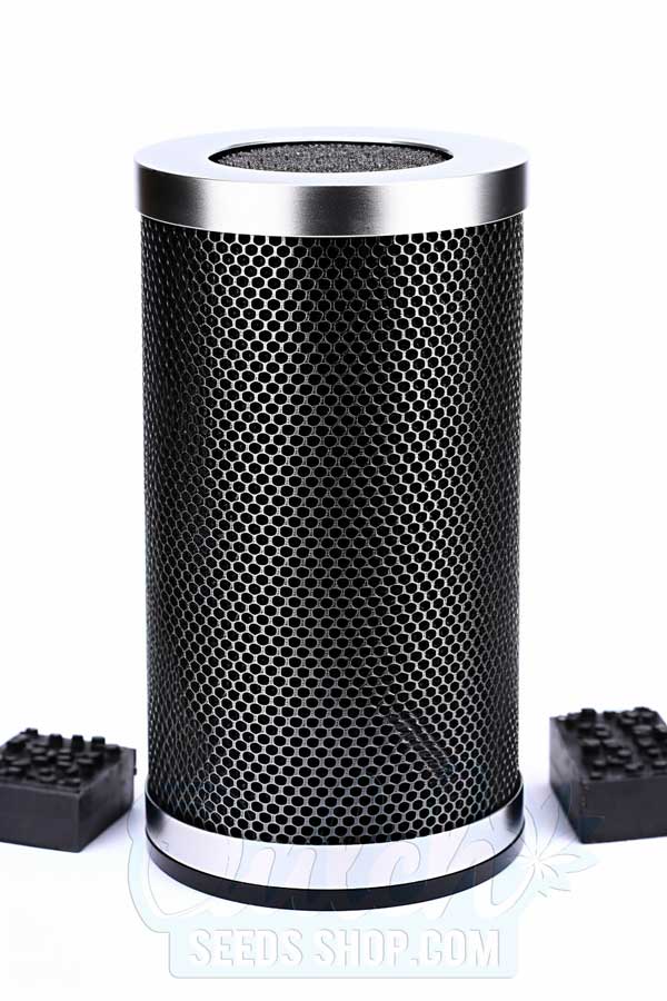 How to Grow Jack Herer Strain - DSS